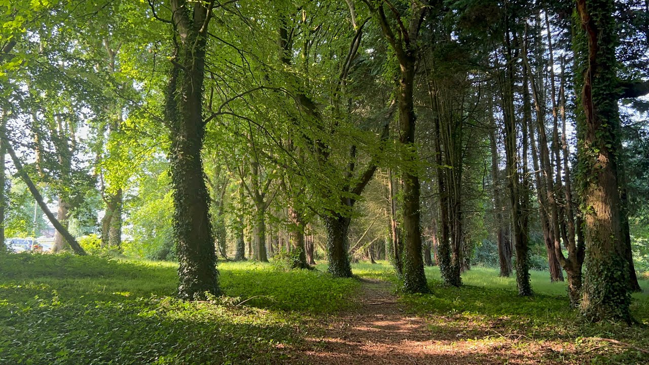 Relaxing walk after night duty - YouTube