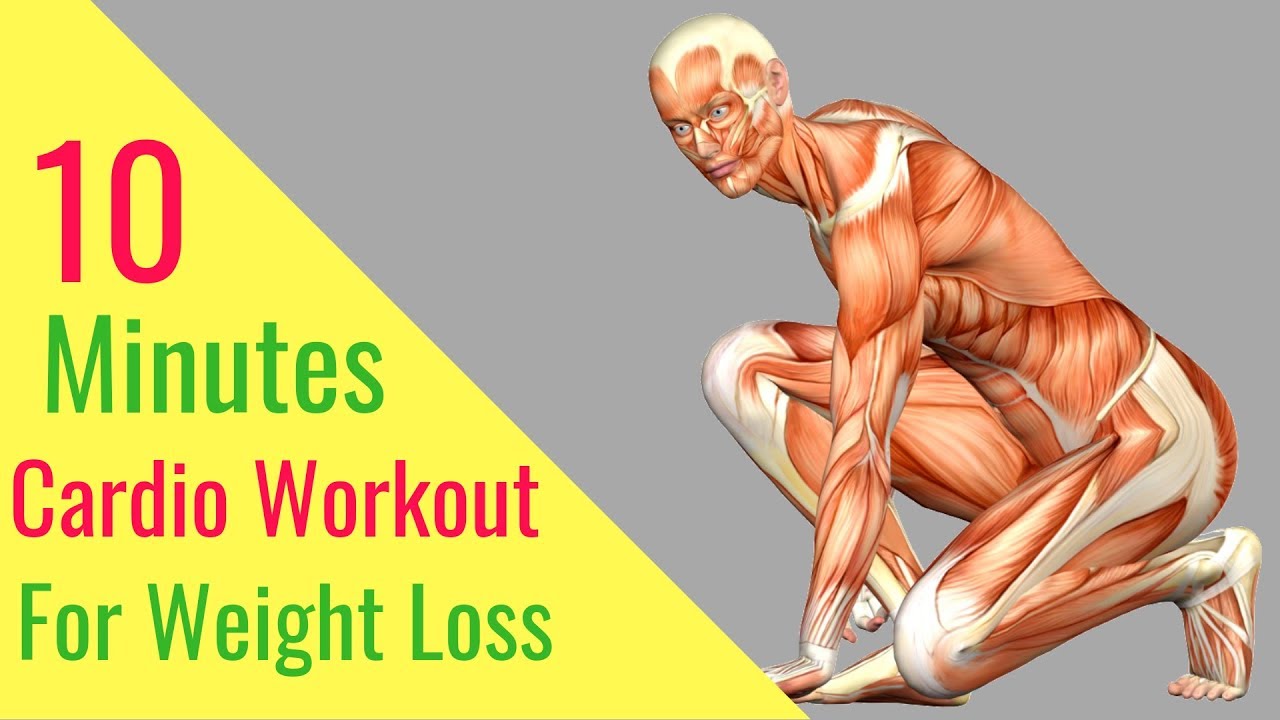 10 Minute Low Impact Cardio Workout - Easy Weight Loss Hacks - YouTube