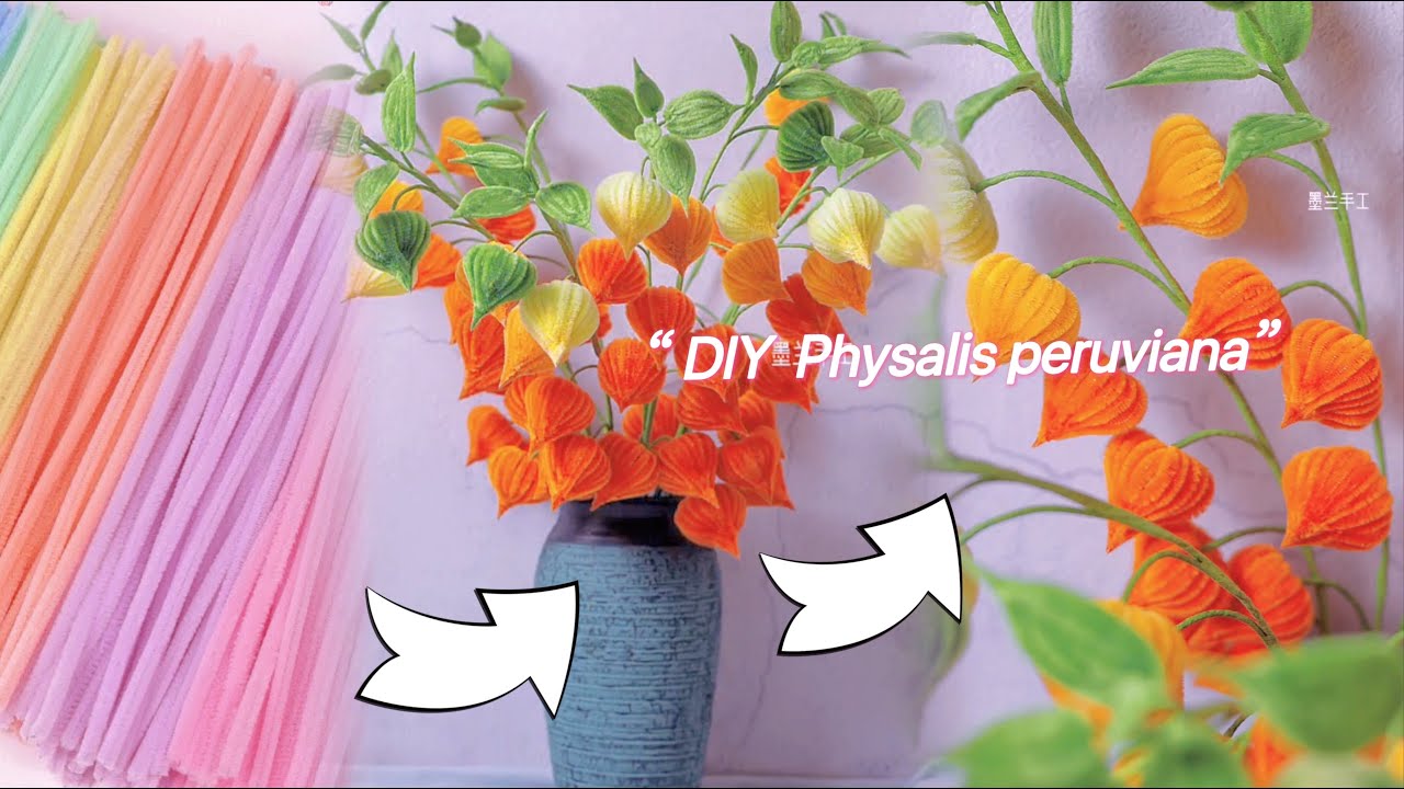DIY Physalis peruviana/扭扭棒灯笼果教程 - YouTube