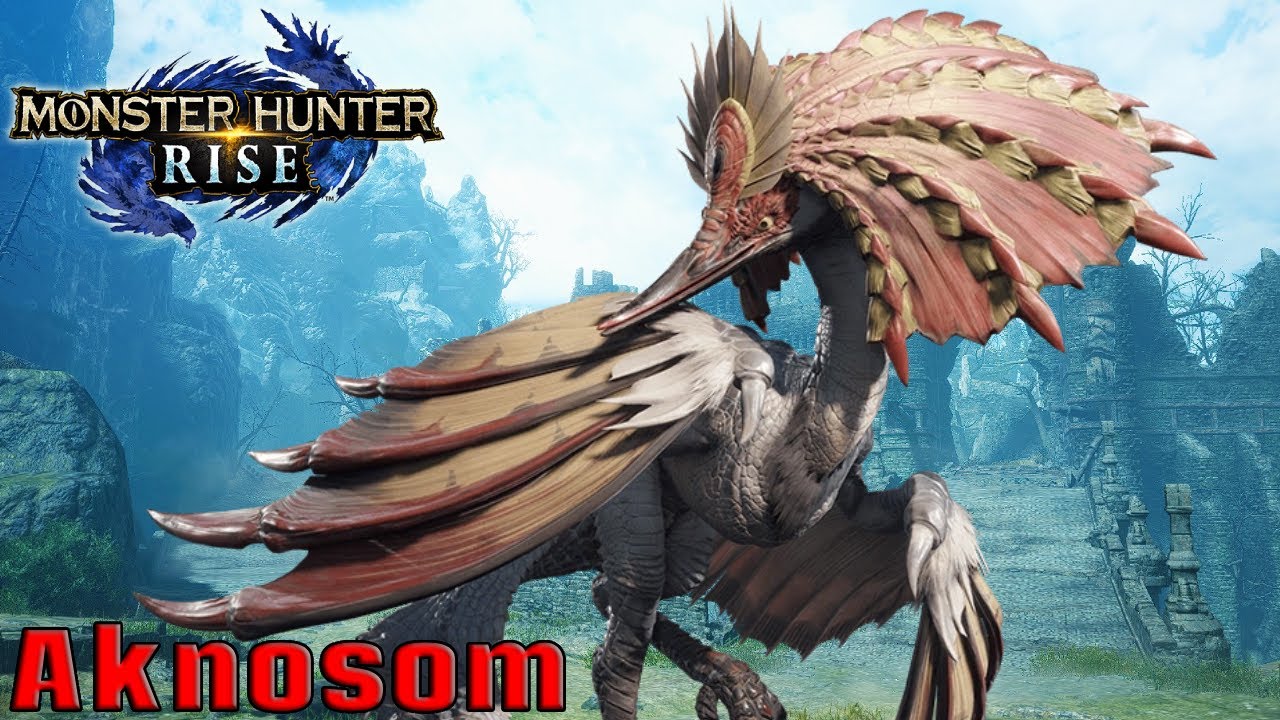 Village Quest: Aknosom | Monster Hunter Rise - YouTube