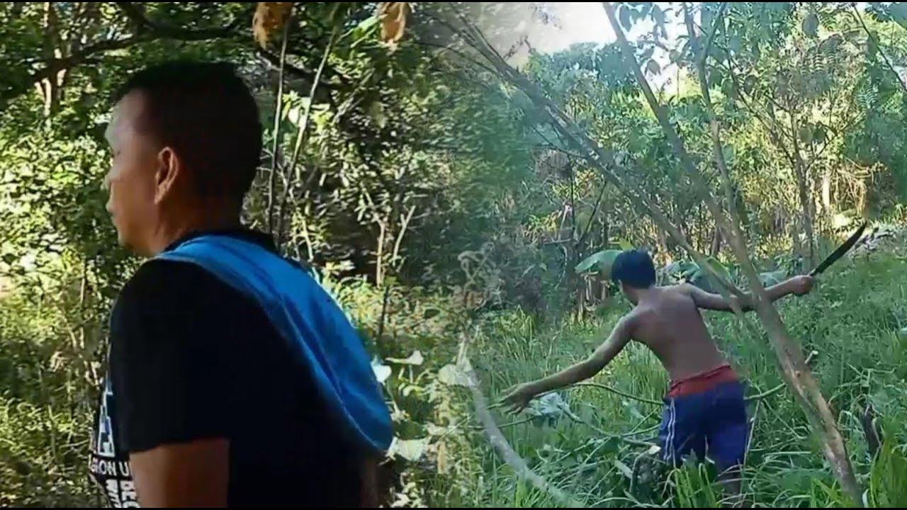 Kagubatan ng Kabundukan (Teaser) - YouTube