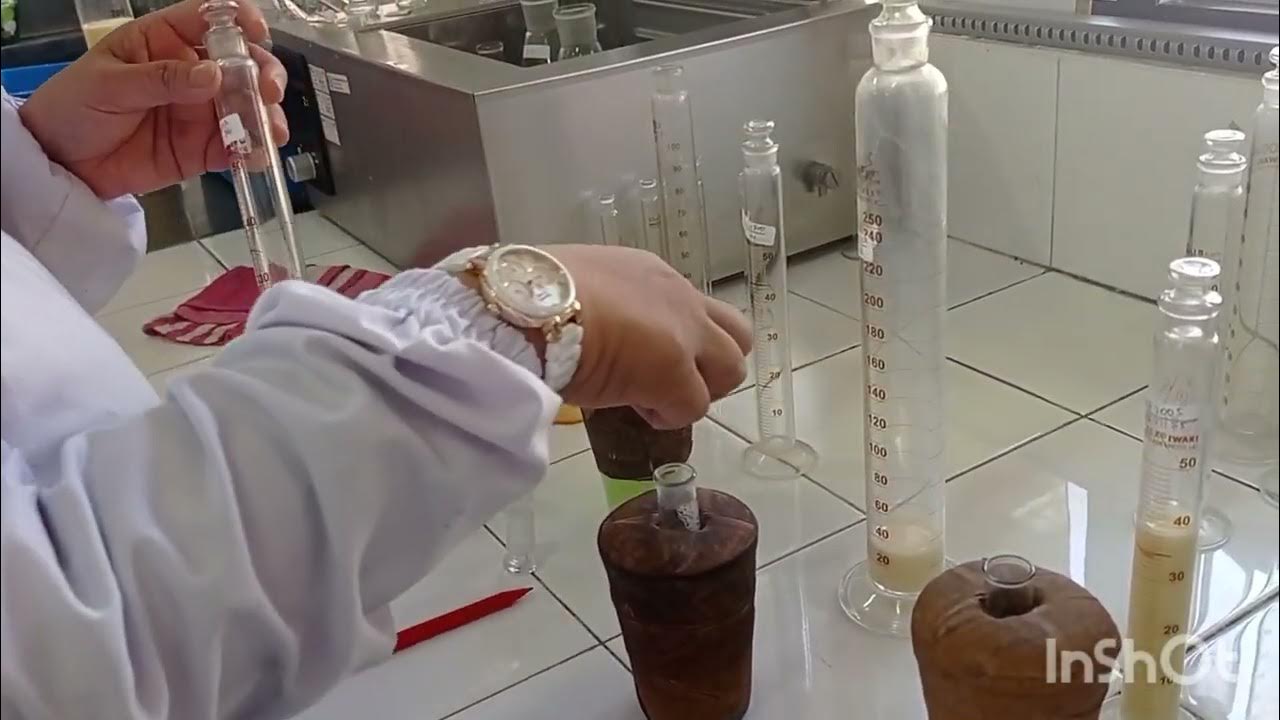 proses produksi semen beku/sperma/straw sapi unggul dari awal sampai akhir - YouTube