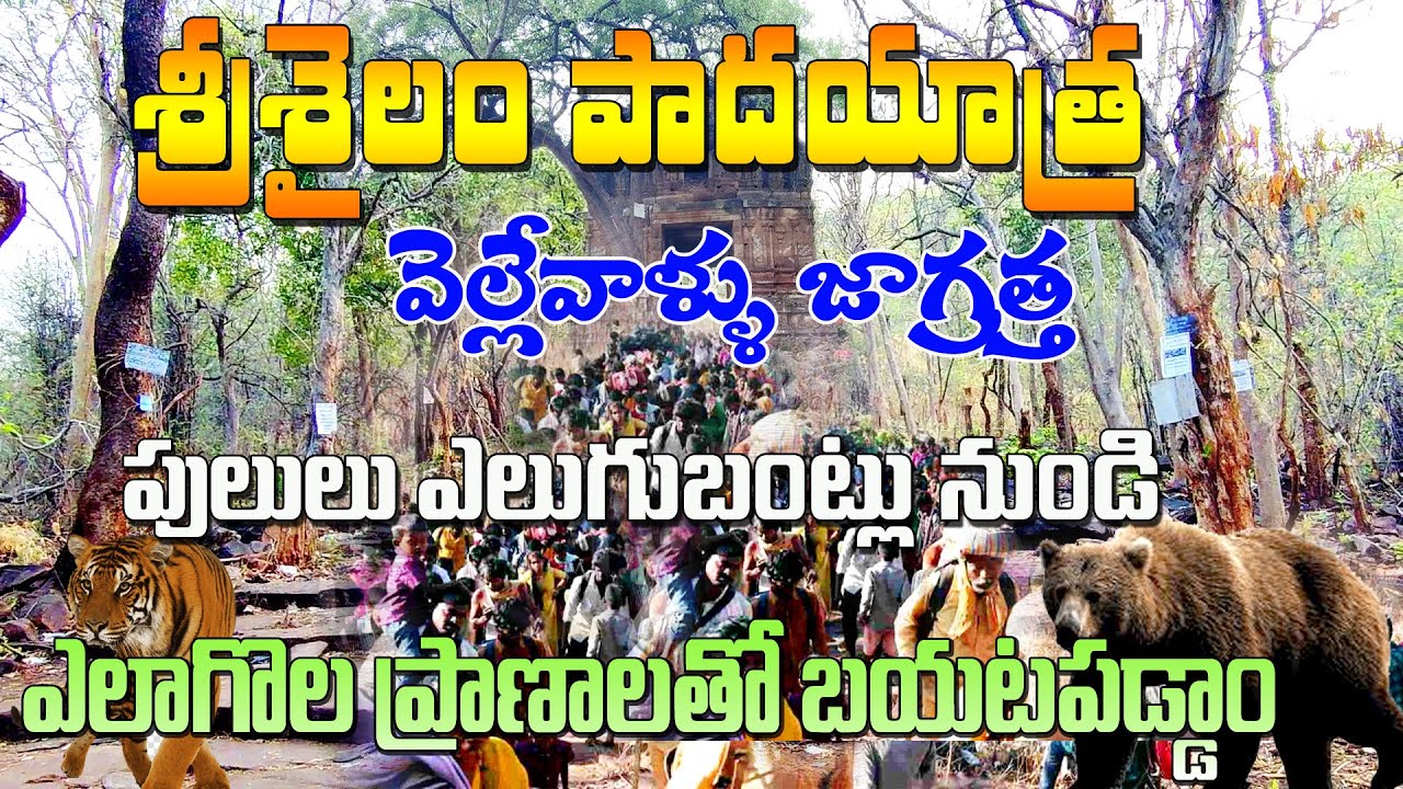 Srisailam padayatra 2024 | Srisailam Temple | Venkatapuram to Srisailam ...