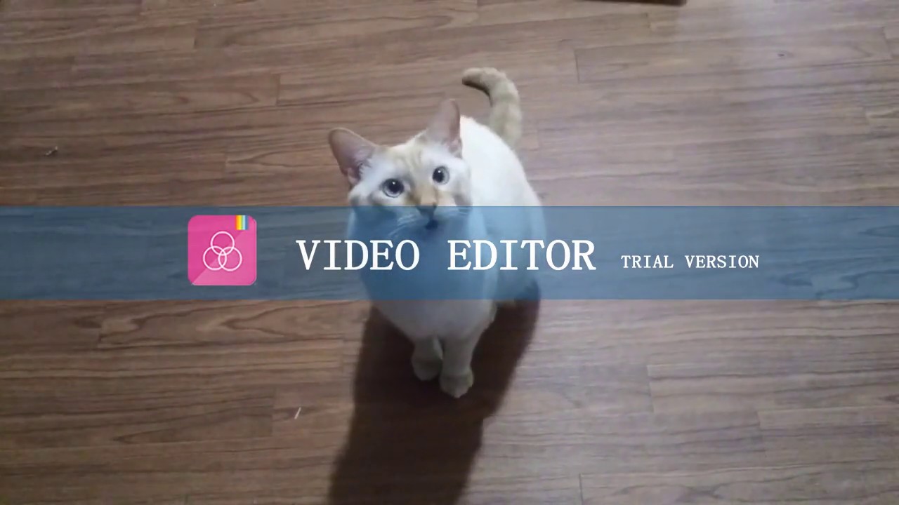 Talking kitty Test vid 1 - YouTube