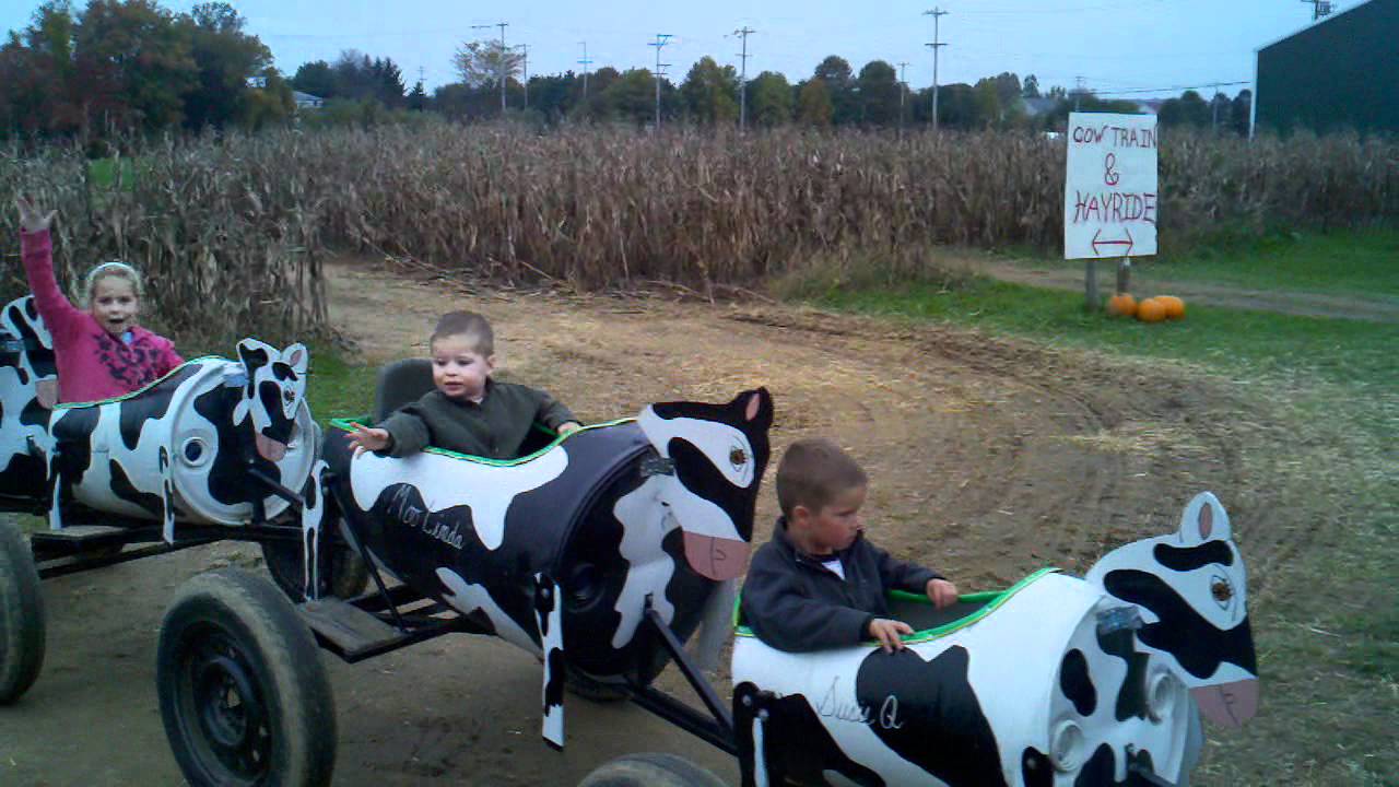 The cow train - YouTube