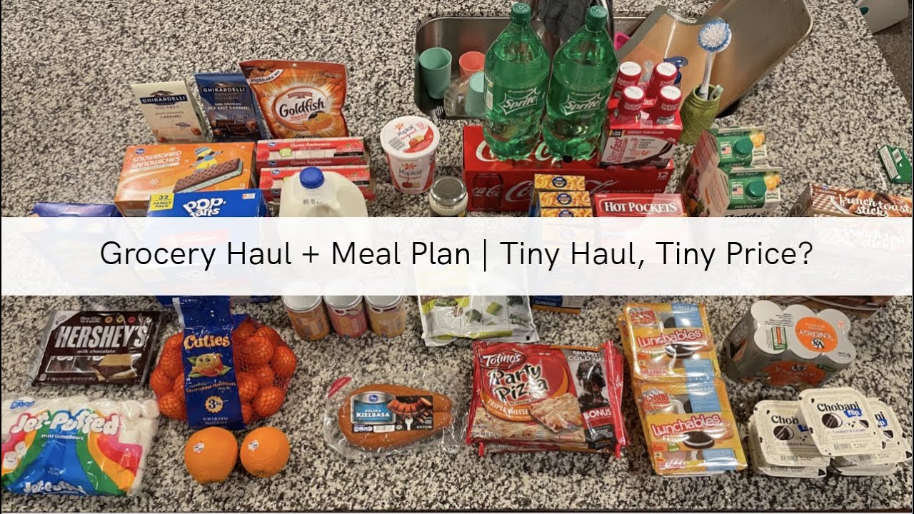 Grocery Haul + Meal Plan | Tiny Haul, Tiny Price? - YouTube