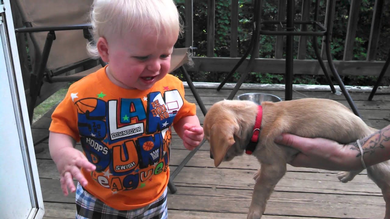 Have you ever seen a baby so scared of a puppy? - YouTube