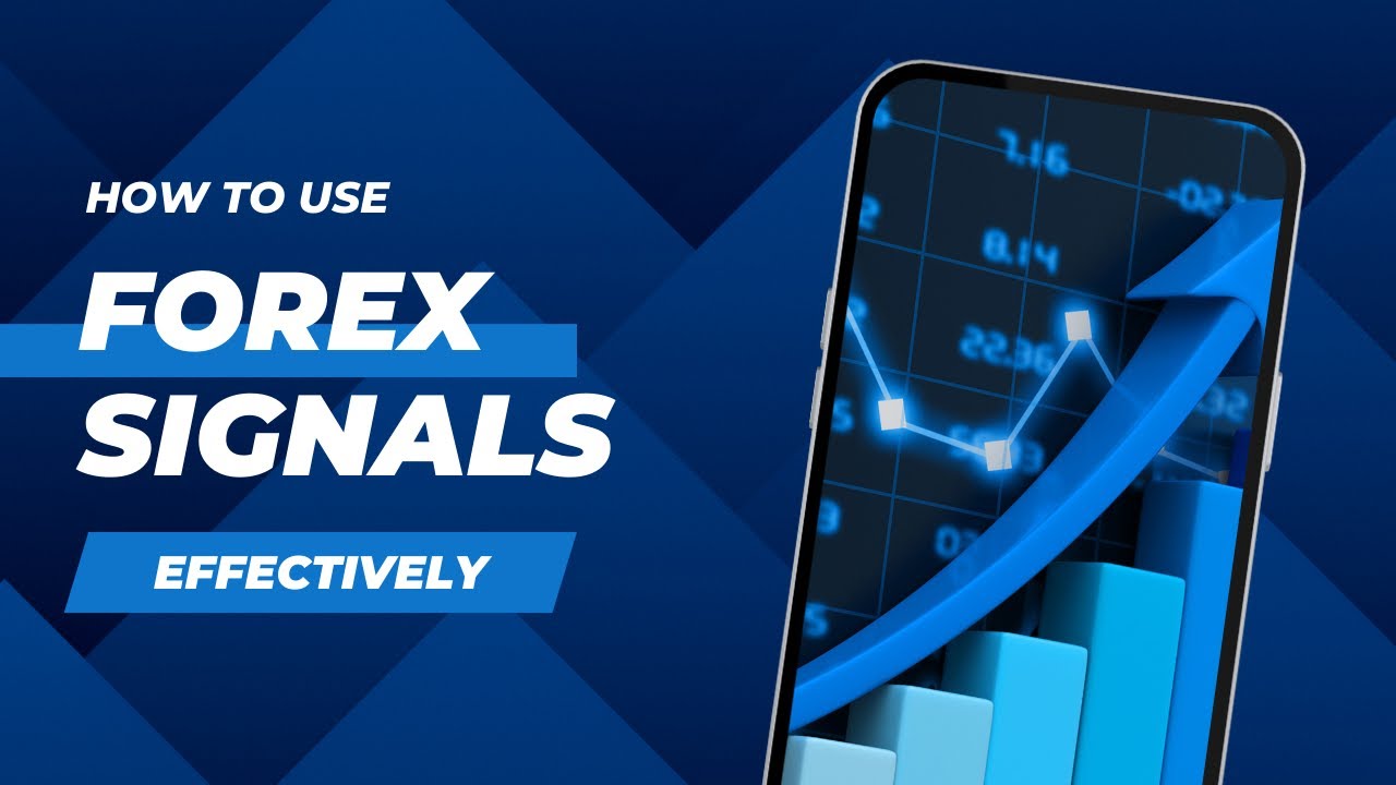 Forex | How To Use Forex Signals Effectively | DxKi - YouTube
