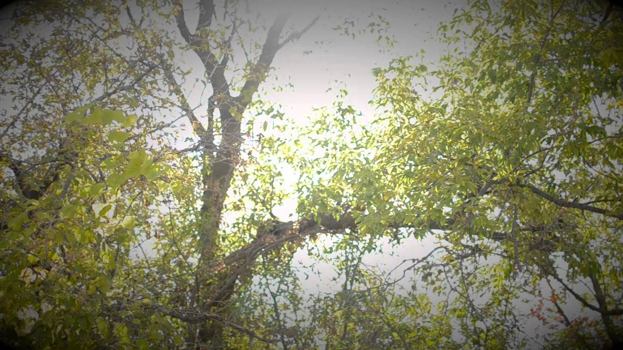 Jake's Genesis - YouTube