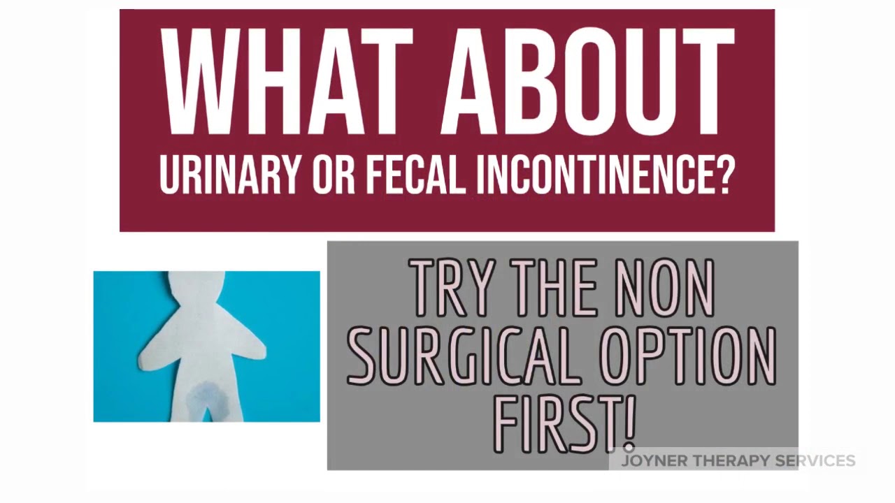 Pelvic Health with Dr. Jessica Cook - YouTube