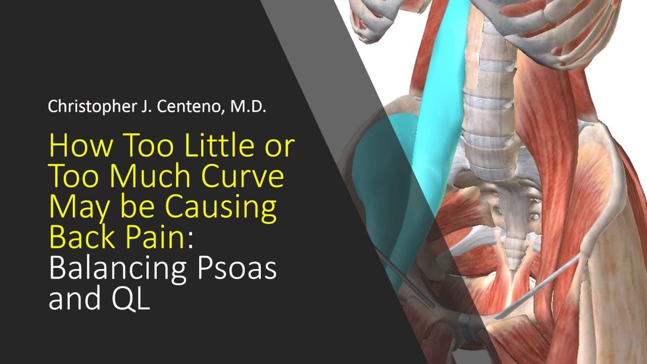 Lower Back Lost Curve? - YouTube