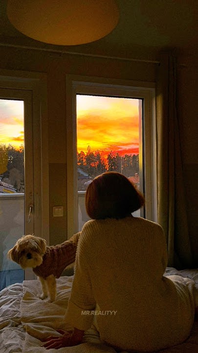 Time when life doesn't feel normal💫 ft.suzume #shorts #aesthetic #nostalgia #vibes #relax #fypシ゚ ...