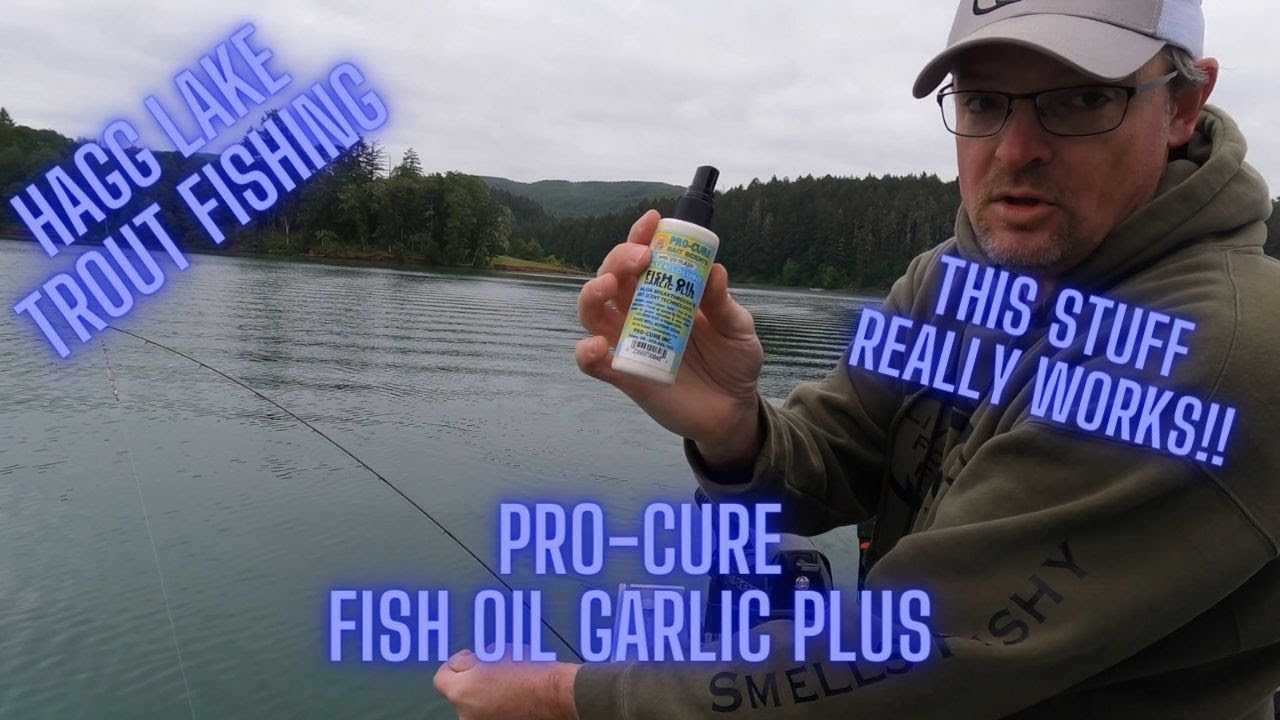 How To catch some decent Trout on Hagg Lake. #troutfishing, #hagglake ...