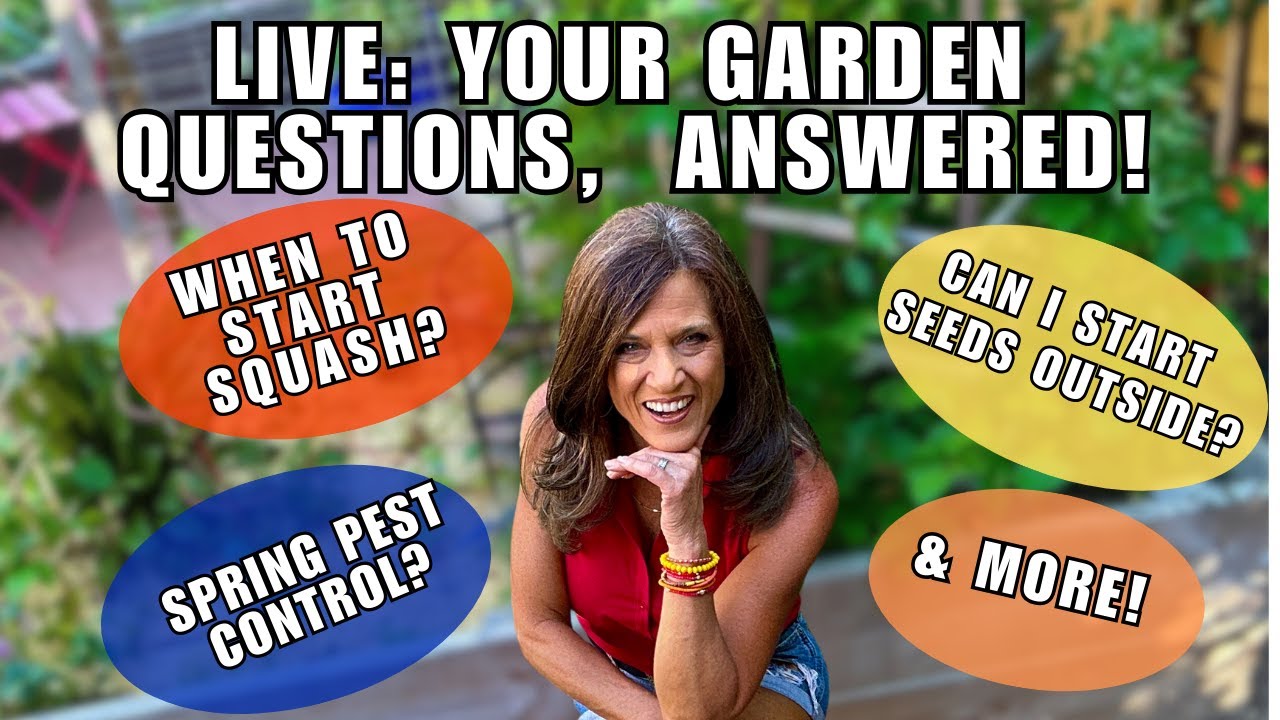 Live: Your Garden Questions, Answered! (REPLAY) - YouTube