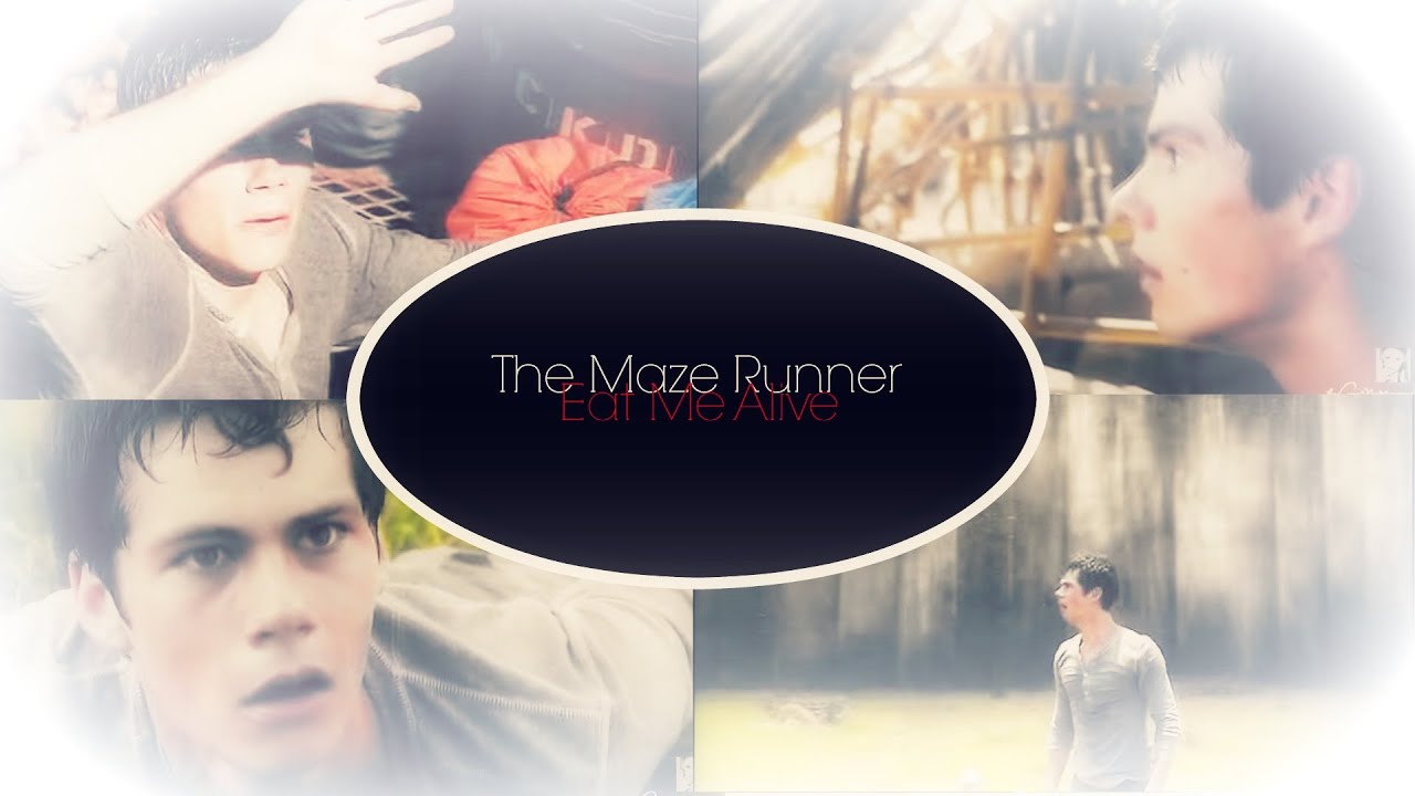 The Maze Runner | Eat Me Alive - YouTube