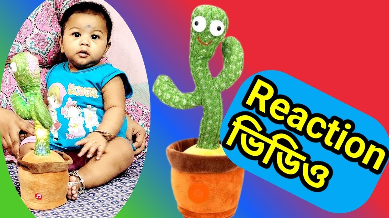 cactus reaction||cactus toy reaction||cactus toy baby reaction - YouTube