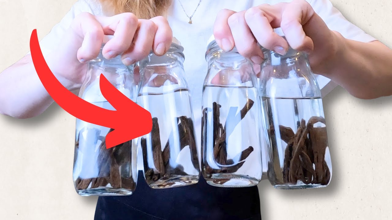 From Scratch Vanilla Extract With Beans From Tik Tok! - YouTube
