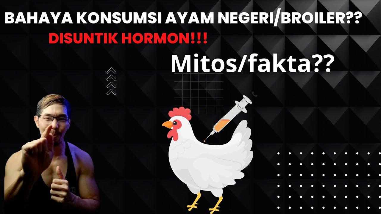 INI GAWAT!PROTEIN AYAM BROILER/AYAM NEGERI DISUNTIK HORMON! - YouTube