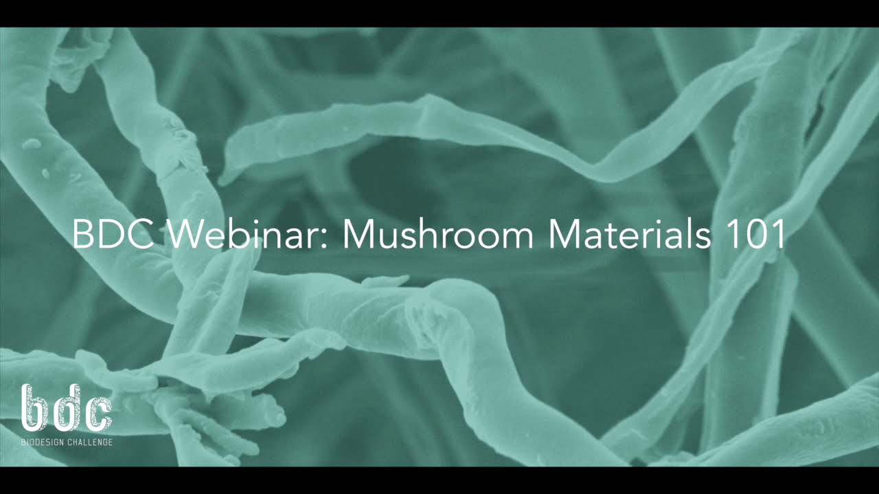 BioDesign Challenge: Mushroom Materials 101 - YouTube
