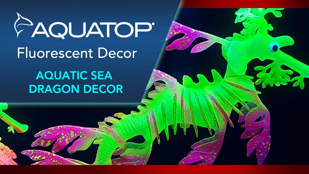 Aquatop Aquariums Fluorescent Decor Sea Dragon - YouTube