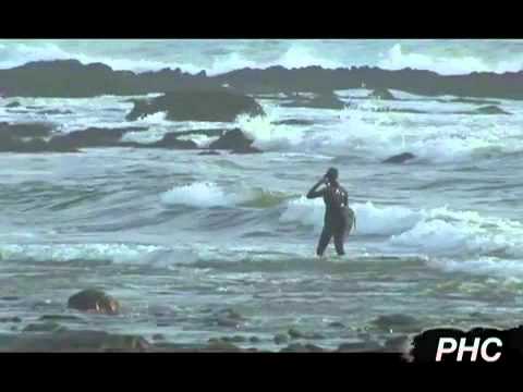 Beautiful bikini japanese girls