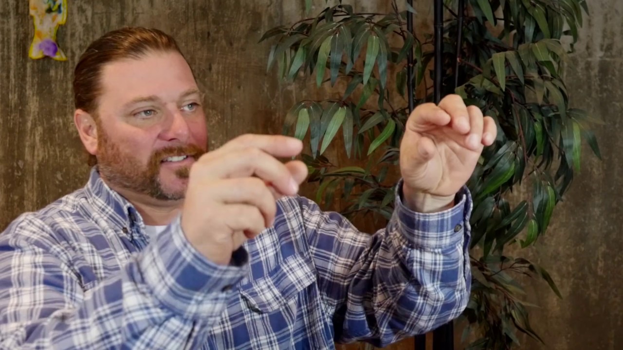 Getting Back on Board with Todd Leighley - YouTube