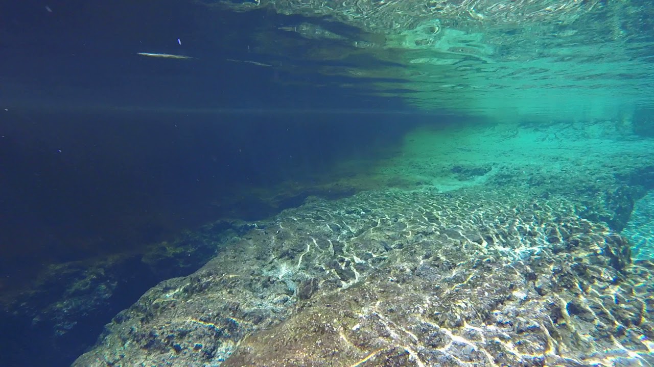 Little river spring and Suwannee river - YouTube