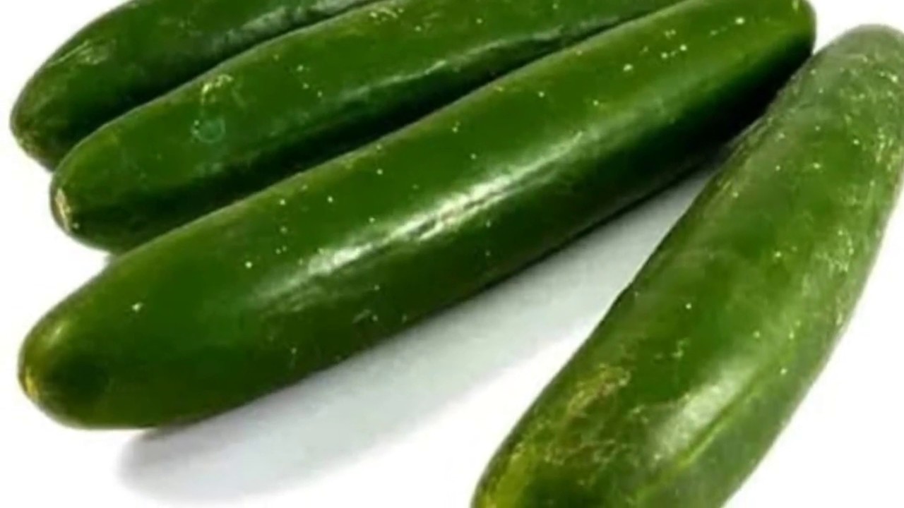 Timun Jepang ( Kyuri ) - YouTube