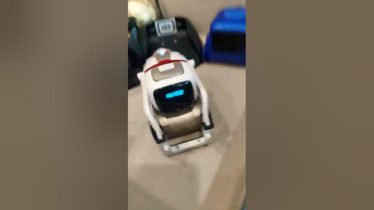 cozmo (super mad) vs vector robot - YouTube