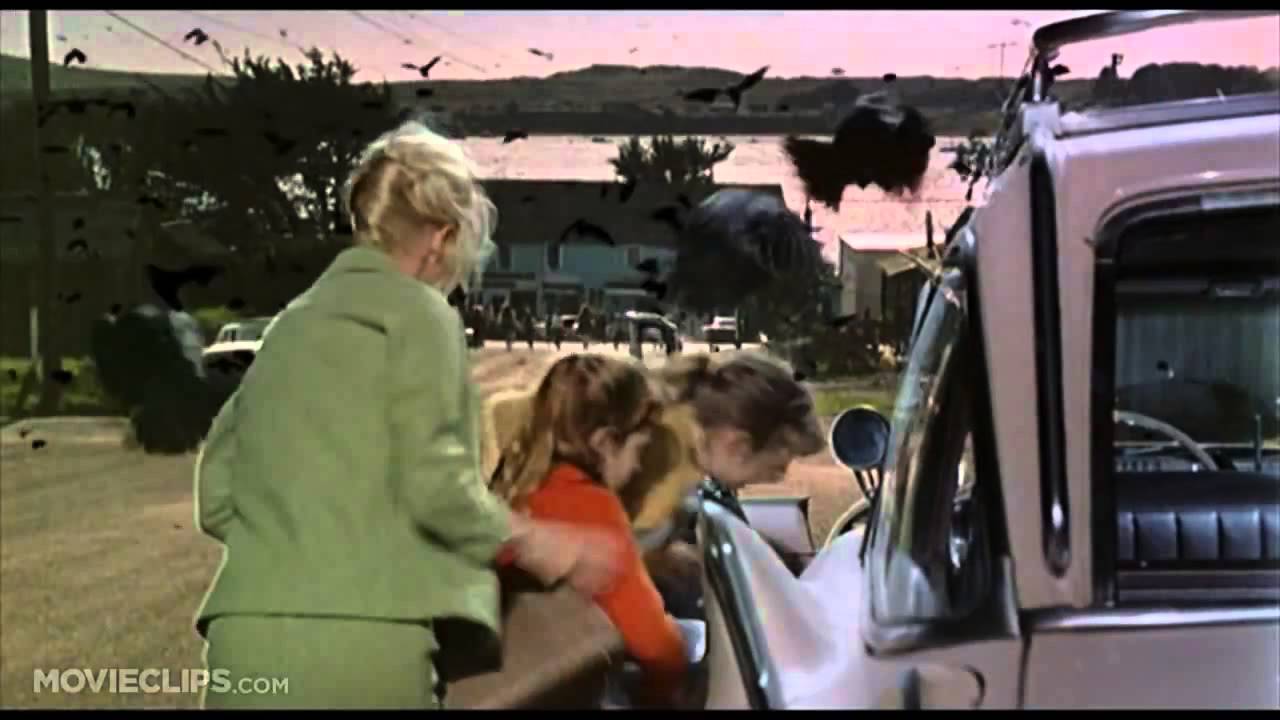Crows Attack the Students The Birds 6 11 Movie CLIP 196 - YouTube