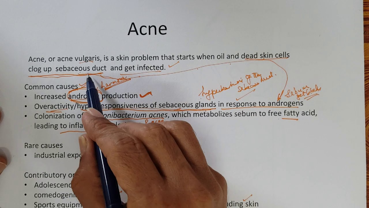 Part 25 Building blocks- C)Actives for acne-science of cosmetics and ...