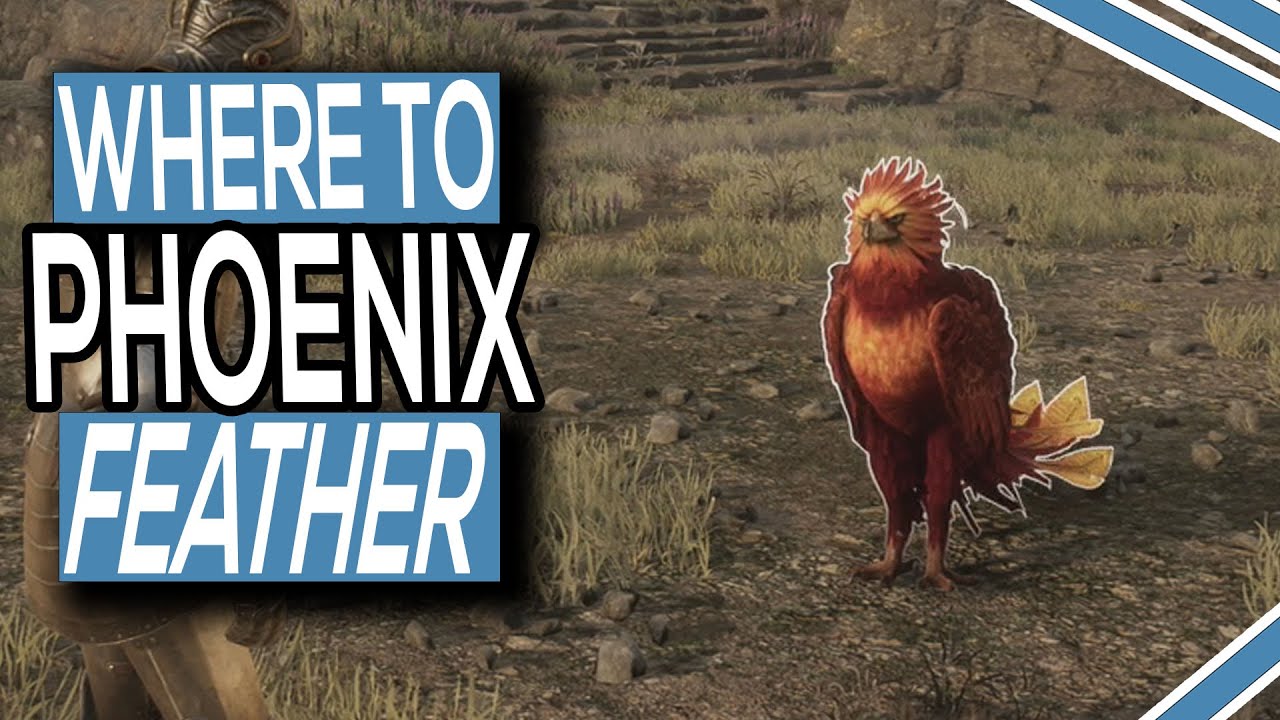 Where To Get Phoenix Feathers In Hogwarts Legacy - YouTube