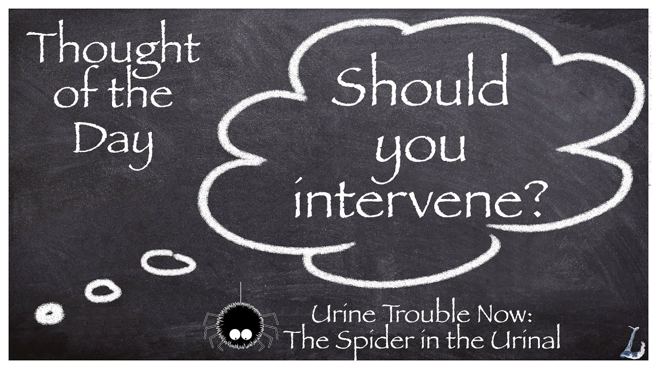 Urine Trouble Now: The Spider in a Urinal Thought Experiment - YouTube