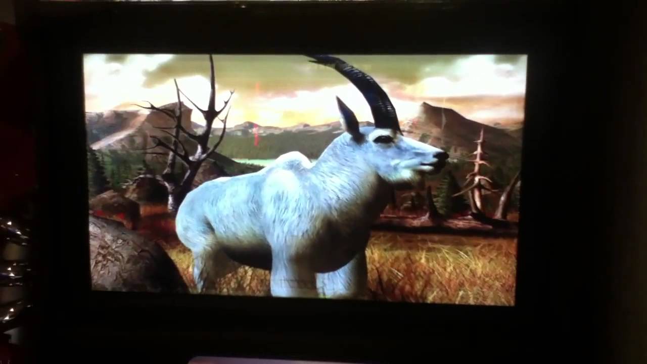 Big Buck Hunter Pro Open Season Addition to the Intro - YouTube