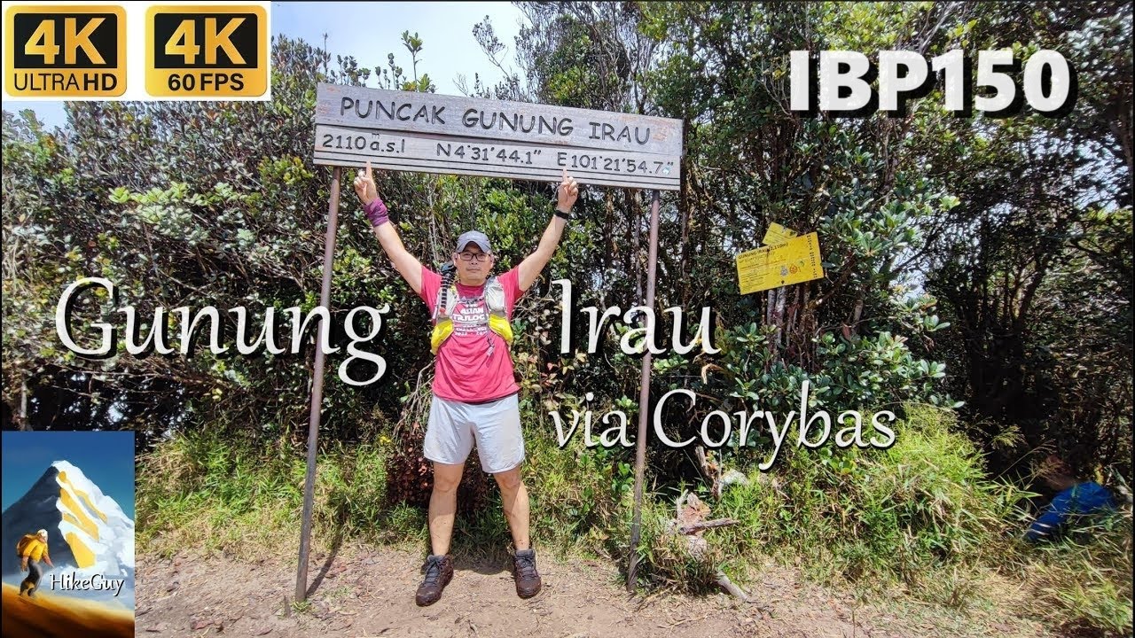 Ep108 Hike to Gunung Irau via Corybas trail ⭐ Cameron⭐ Pahang Malaysia ...