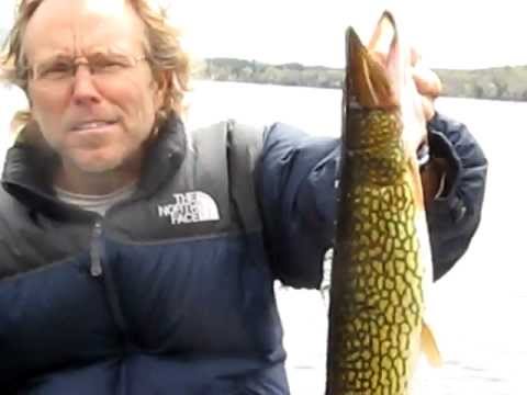 Fishing Guide New Hampshire Eastern chain pickerel. - YouTube