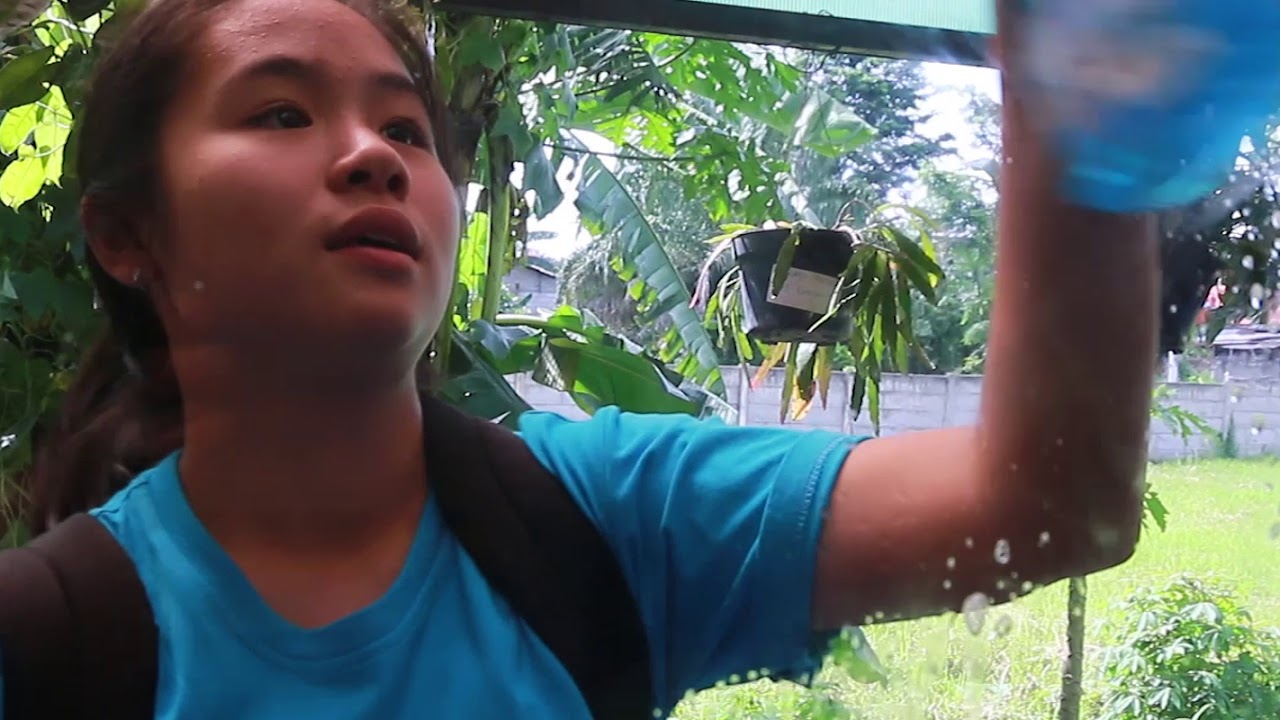 Video Community Service - YouTube