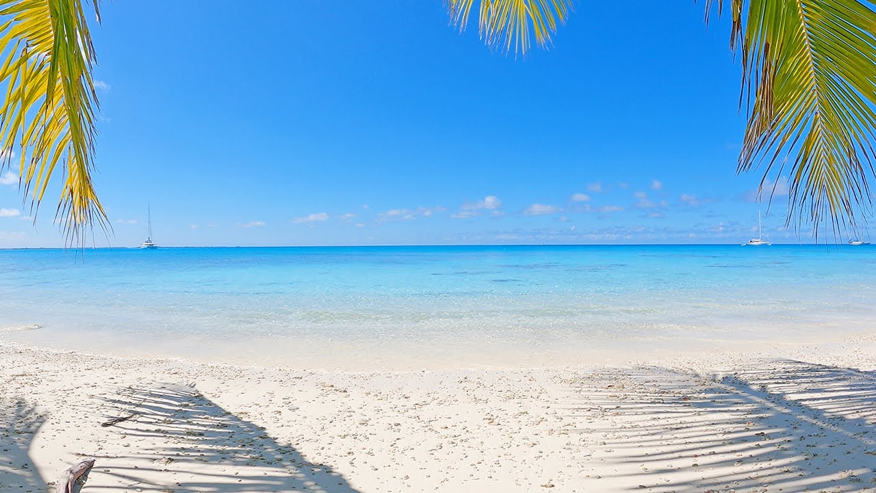 Beach Screensaver From a Tropical Remote Island Paradise - YouTube