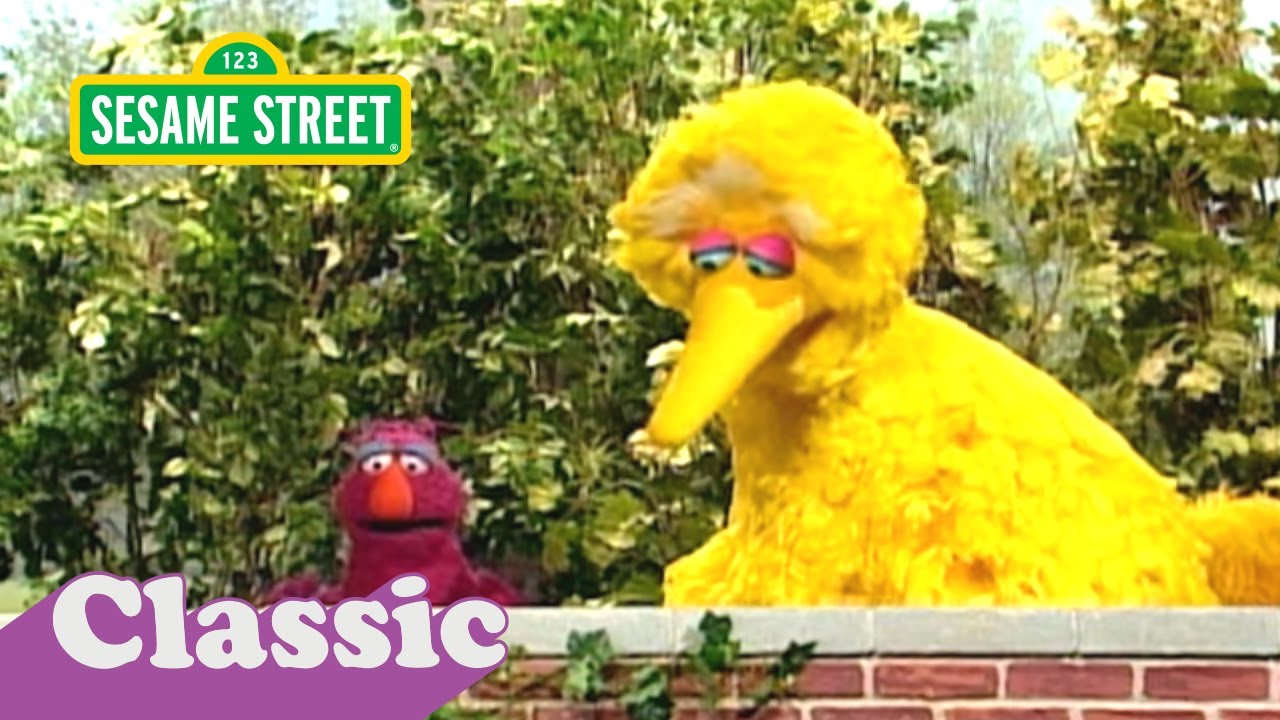 Heartfelt Flea with Big Bird and Telly | Sesame Street Classic - YouTube