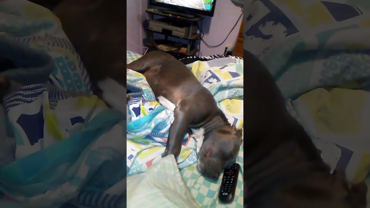 Sweet Dreams Lil Goon - YouTube