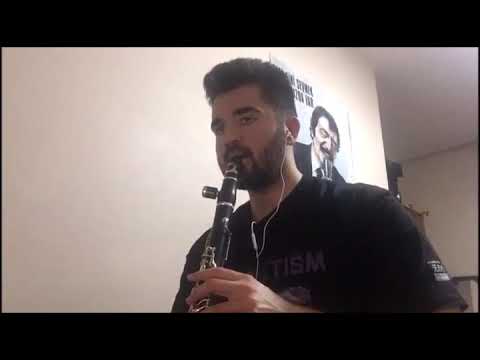 Anlamazdın (Klarnet Cover)