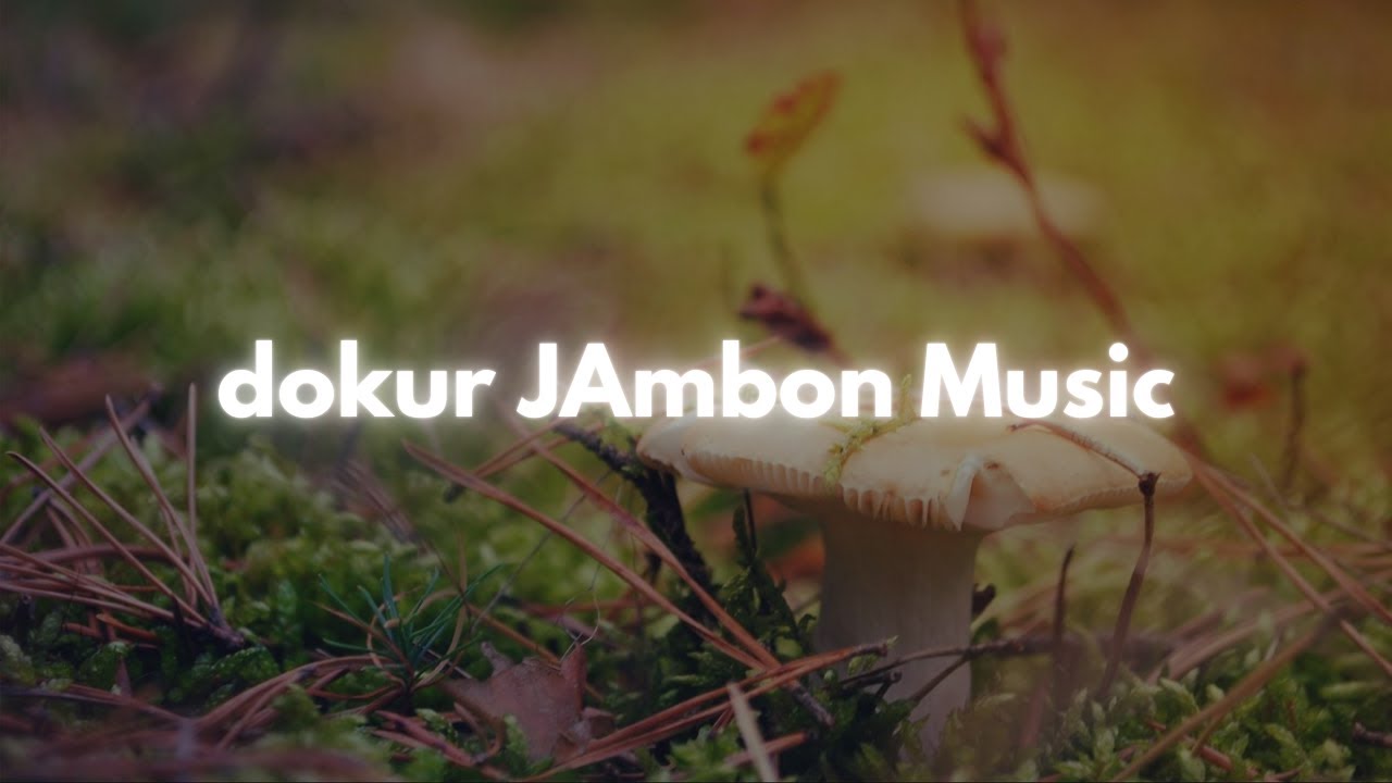 Sunrays – LiQWYD (No Copyright Music) - YouTube