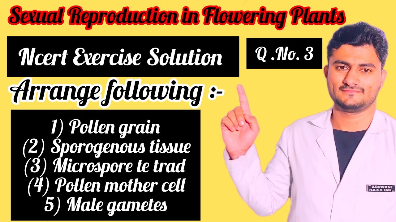 Arrange following ncert question no.3 #ncert Sexual Reproduction in ...
