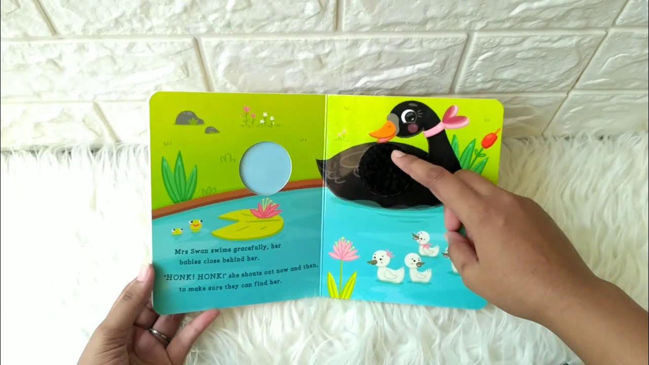First Steps Cheep Cheep A Touch Feel Book YouTube first-steps-cheep-cheep-a-touch-feel-book-youtube