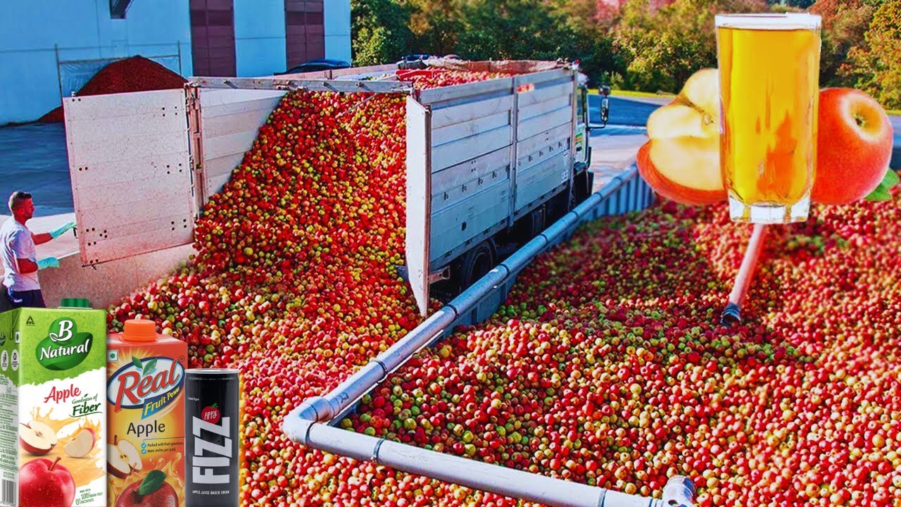 How APPLE JUICE is Made IN FACTORIES | Modern Fruit Juice Making ...
