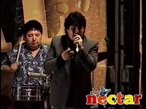 Te espero en el cielo - grupo nectar | en vivo - YouTube