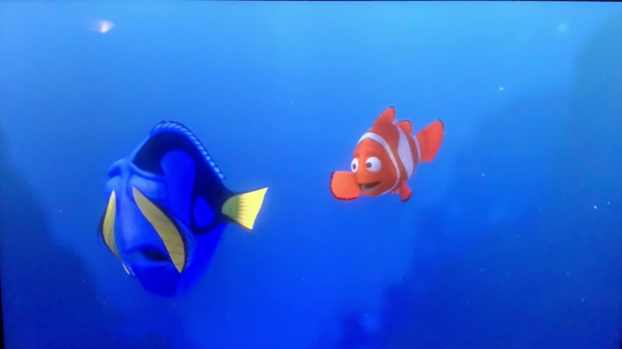 Finding Nemo p Sherman 42 wallaby way Sydney - YouTube