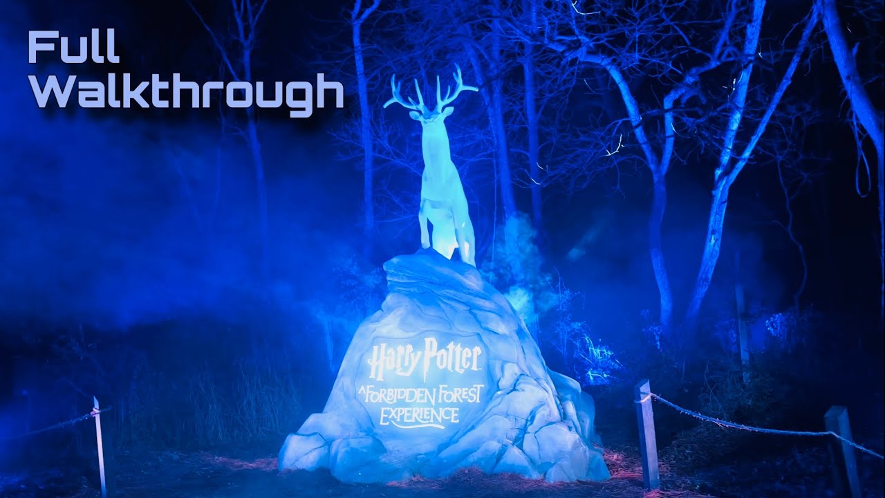 Harry Potter A Forbidden Forest Experience Full Nighttime 4k ...