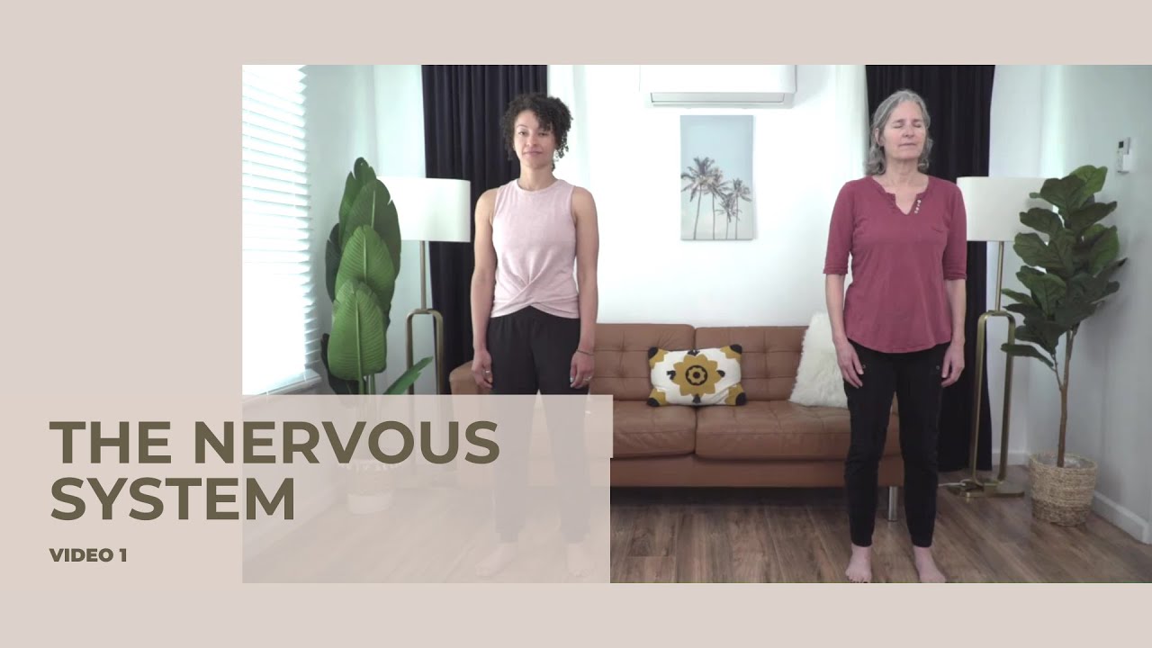 Body Connection | Lesson 1: Nervous System - YouTube