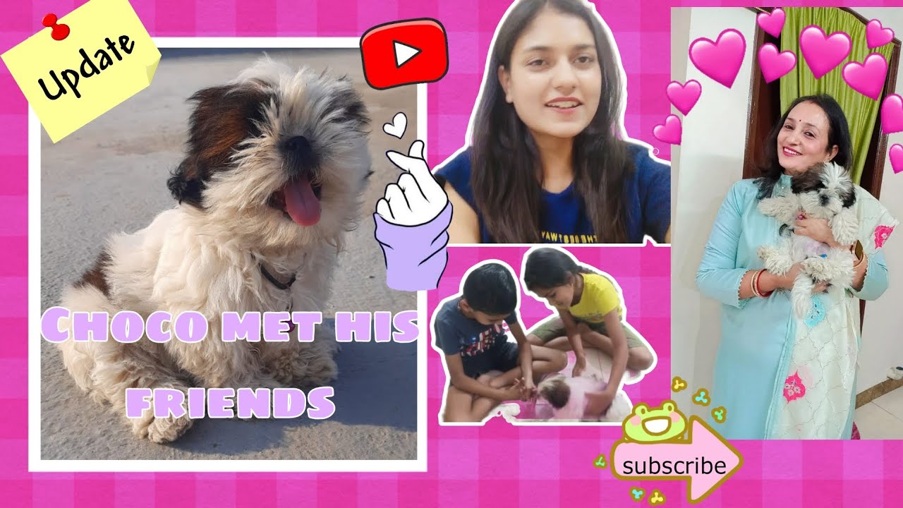 Choco met his friends | Daily Update Part 1 🧿 - YouTube